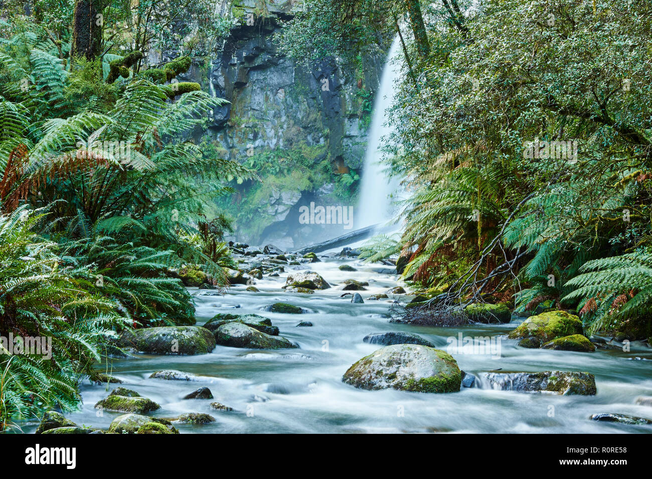 Hopetoun Falls in the rainforest, Great Otway National Park, Otways ...