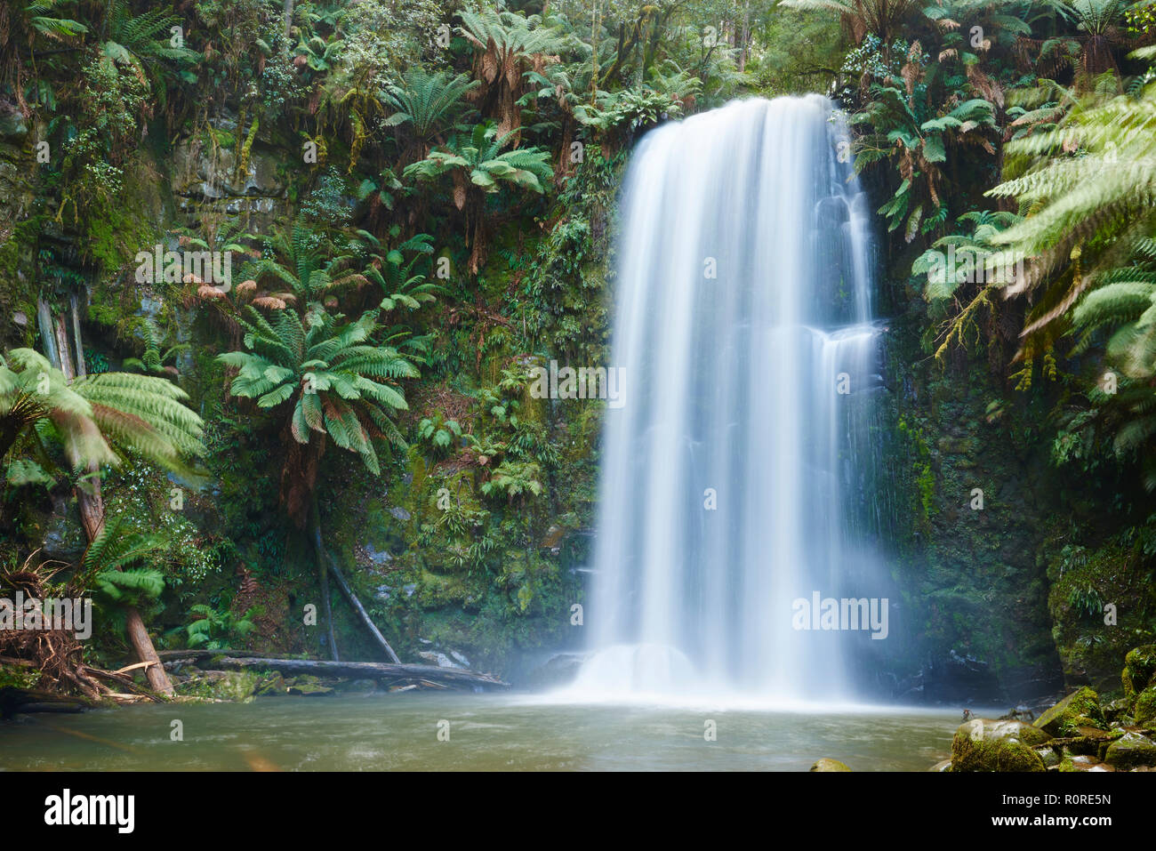 Beauchamp Falls in the rainforest, Great Otway National Park, Otways ...