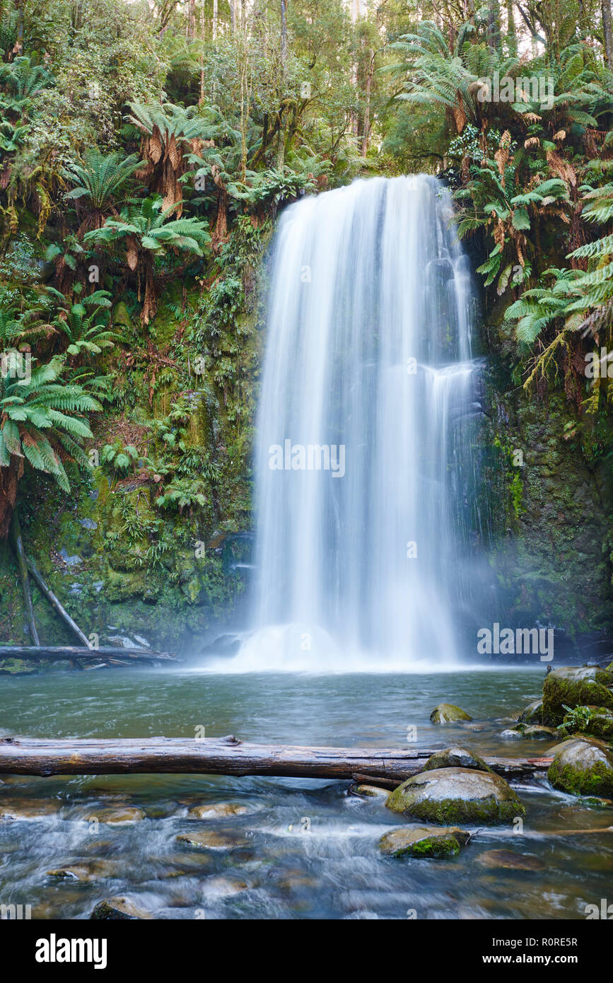 Beauchamp Falls in the rainforest, Great Otway National Park, Otways ...