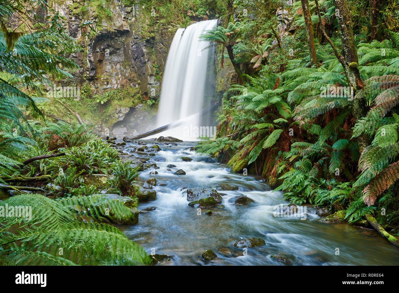 Hopetoun Falls in the rainforest, Great Otway National Park, Otways ...