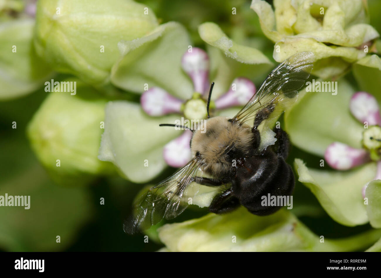 Abrupta High Resolution Stock Photography and Images - Alamy