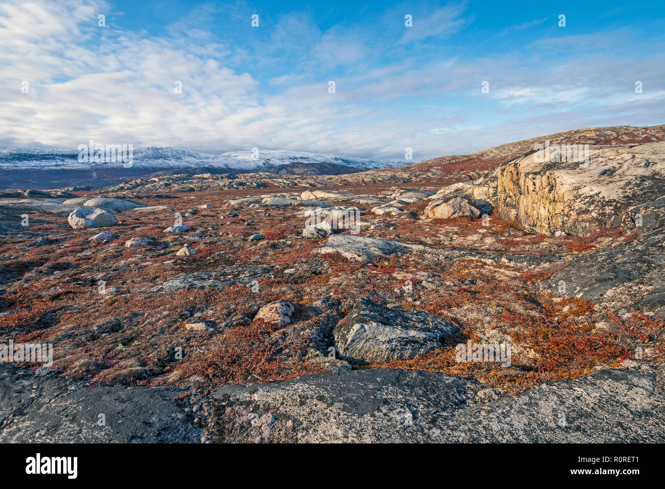 Fall Colors in the Tundra of the High Arctic near Eqip Sermia in ...