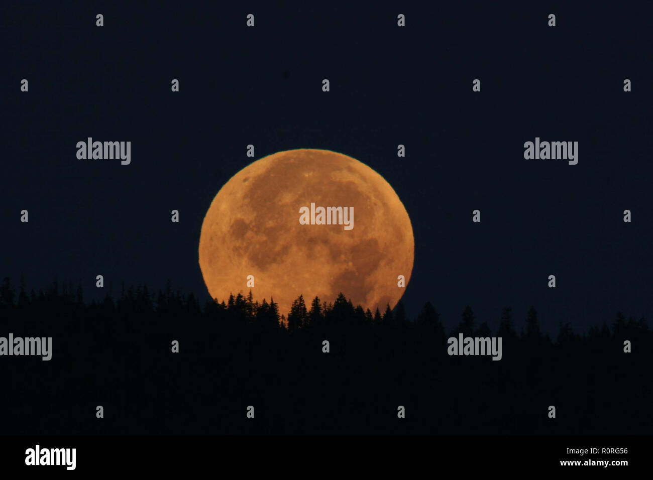 Full moon black backdrop hi-res stock photography and images - Alamy