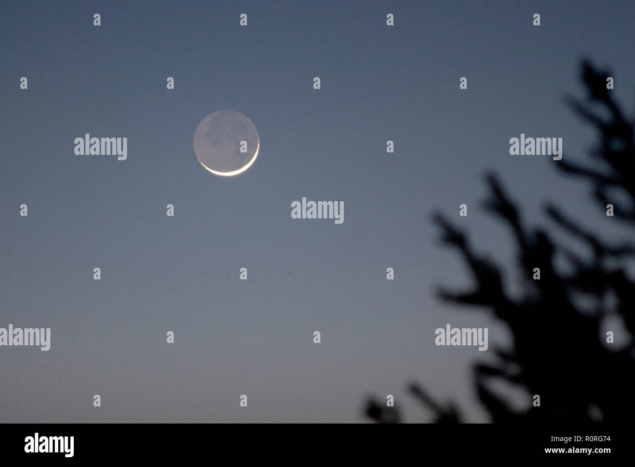 First quarter moon hi-res stock photography and images - Alamy