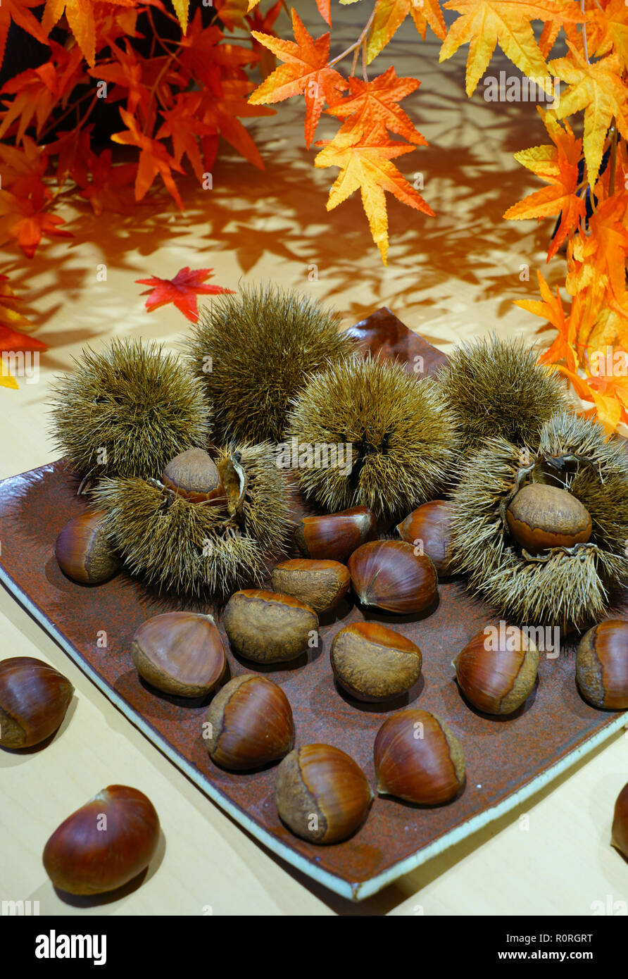 Fresh chestnuts in the shell in winter with maple foliage Stock Photo ...