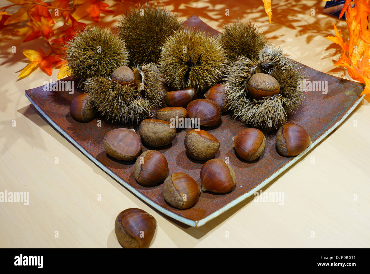 Fresh chestnuts in the shell in winter with maple foliage Stock Photo ...