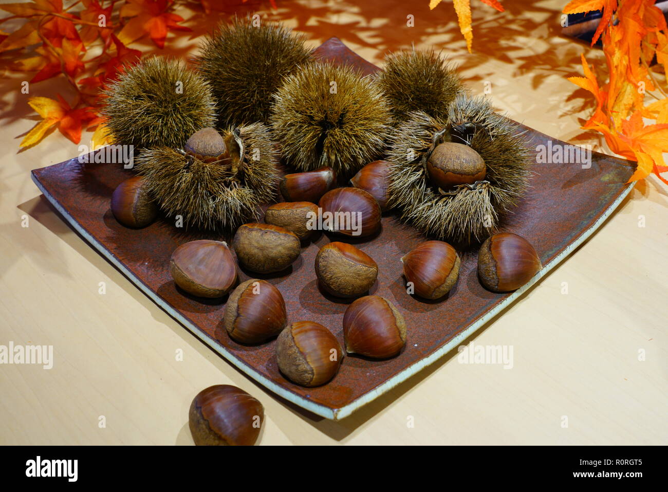 Fresh chestnuts in the shell in winter with maple foliage Stock Photo ...