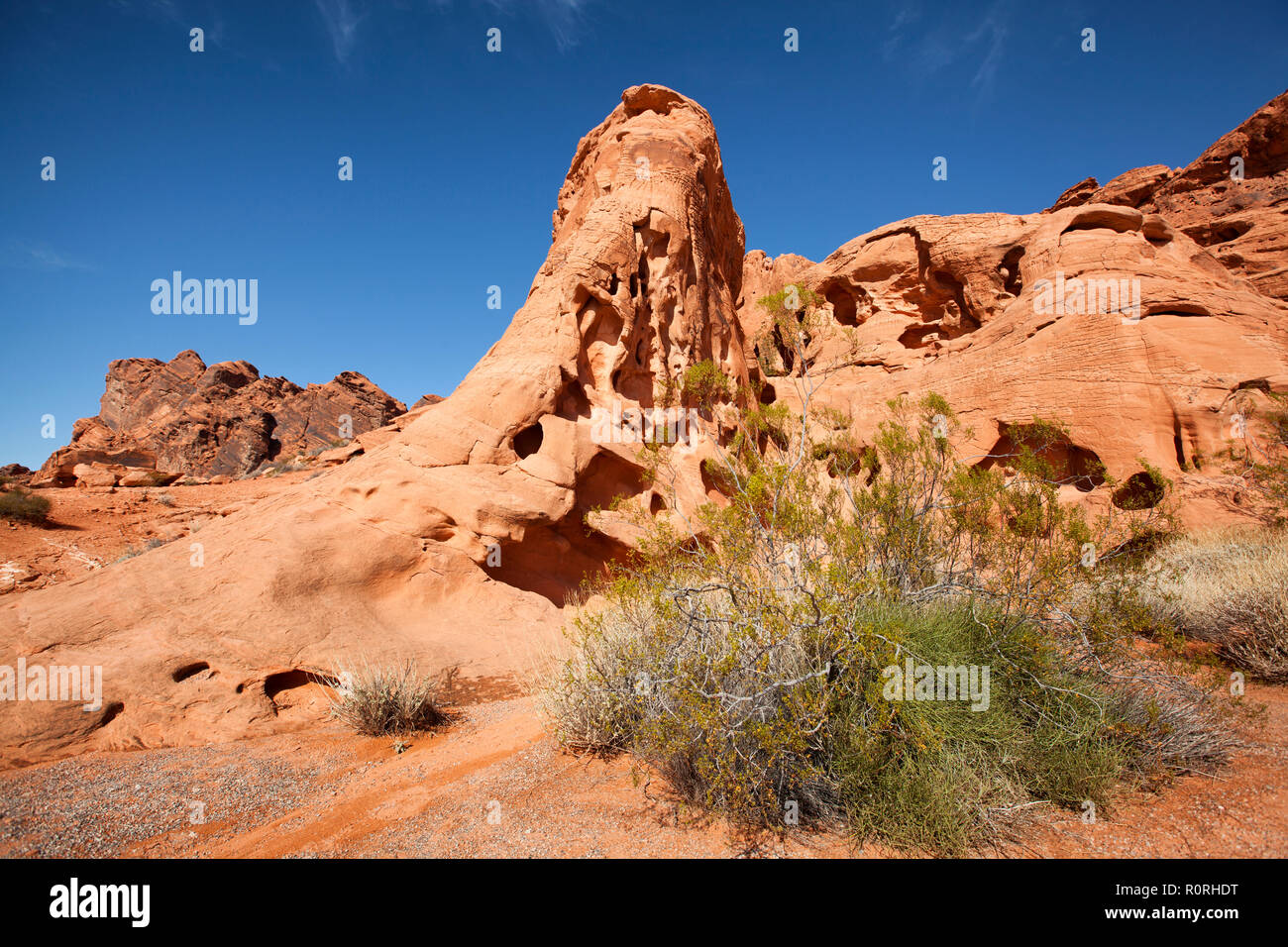 Rock formations In desert in Valley of Fire Nevada USA Stock Photo - Alamy