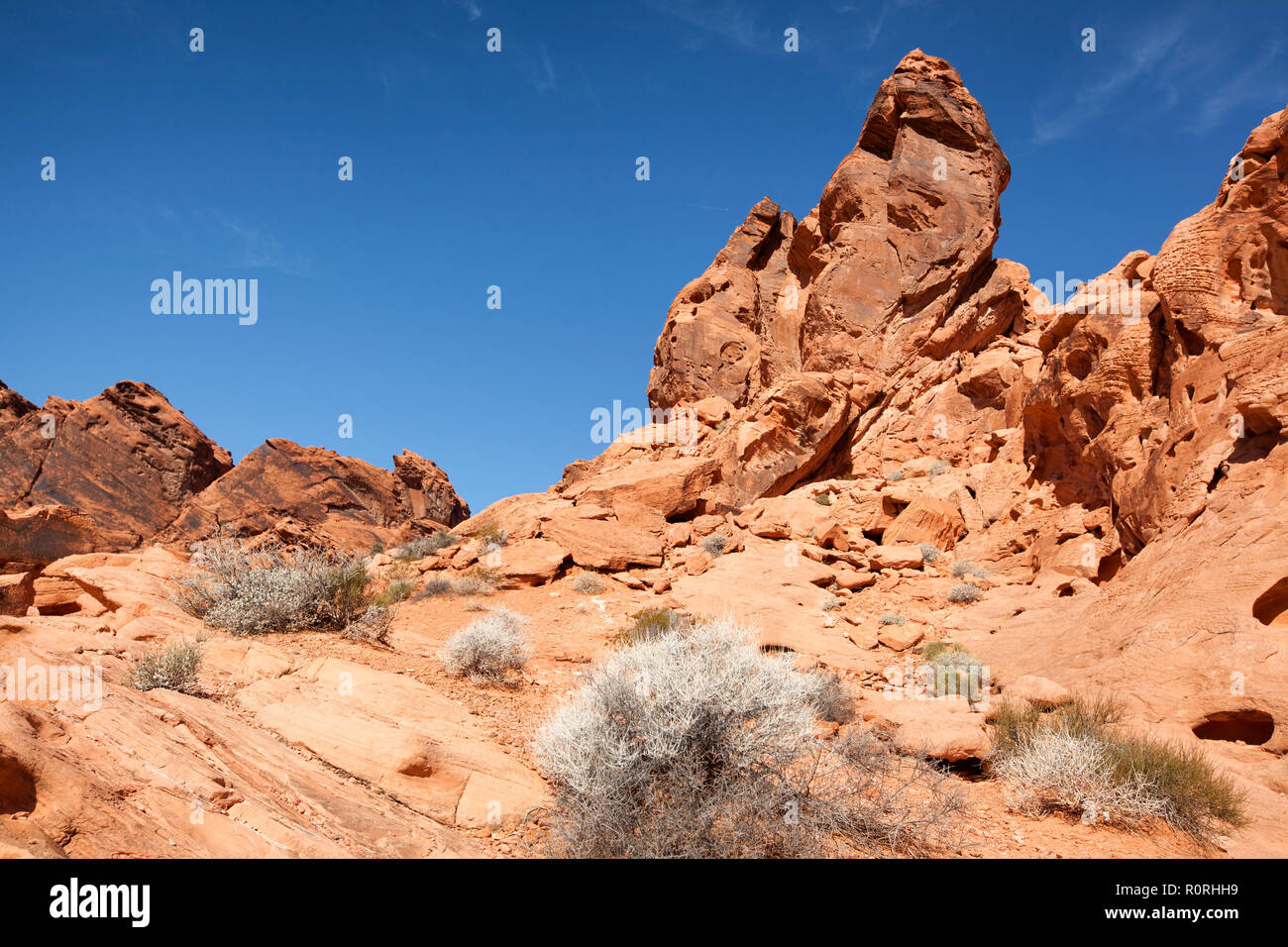 Rock formations In desert in Valley of Fire Nevada USA Stock Photo - Alamy