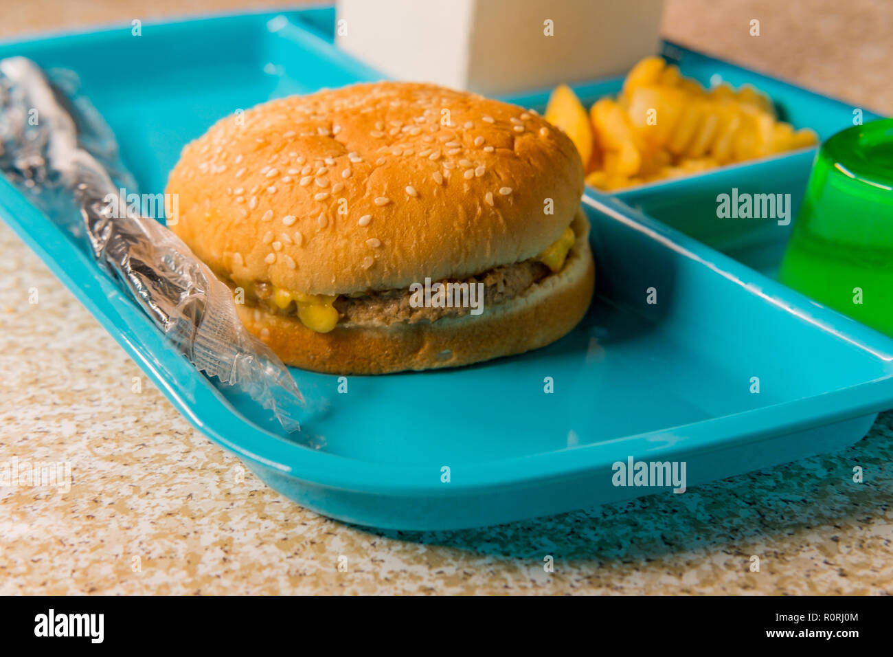 Elementary school lunch cheeseburger with ripple cut french fries ...