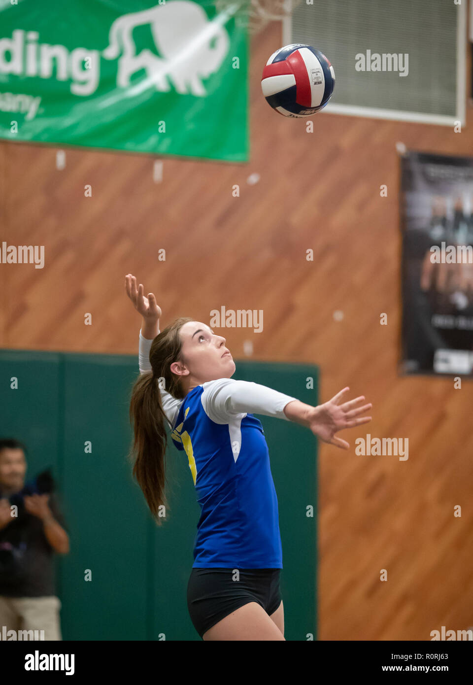 University Prep of Redding in volleyball action against Pierce High ...