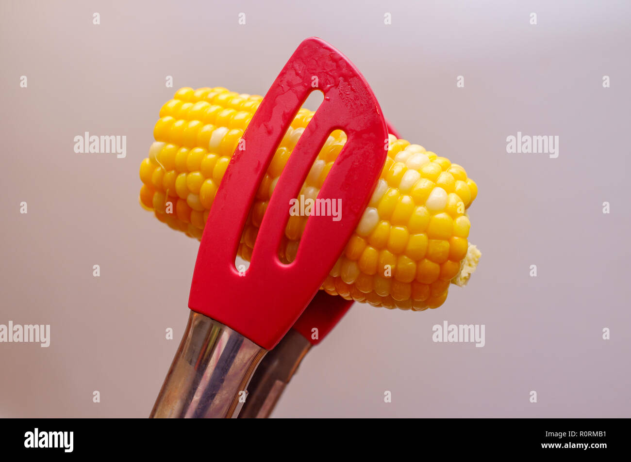 Tongs hold fresh boiled corn on the cob with butter Stock Photo - Alamy