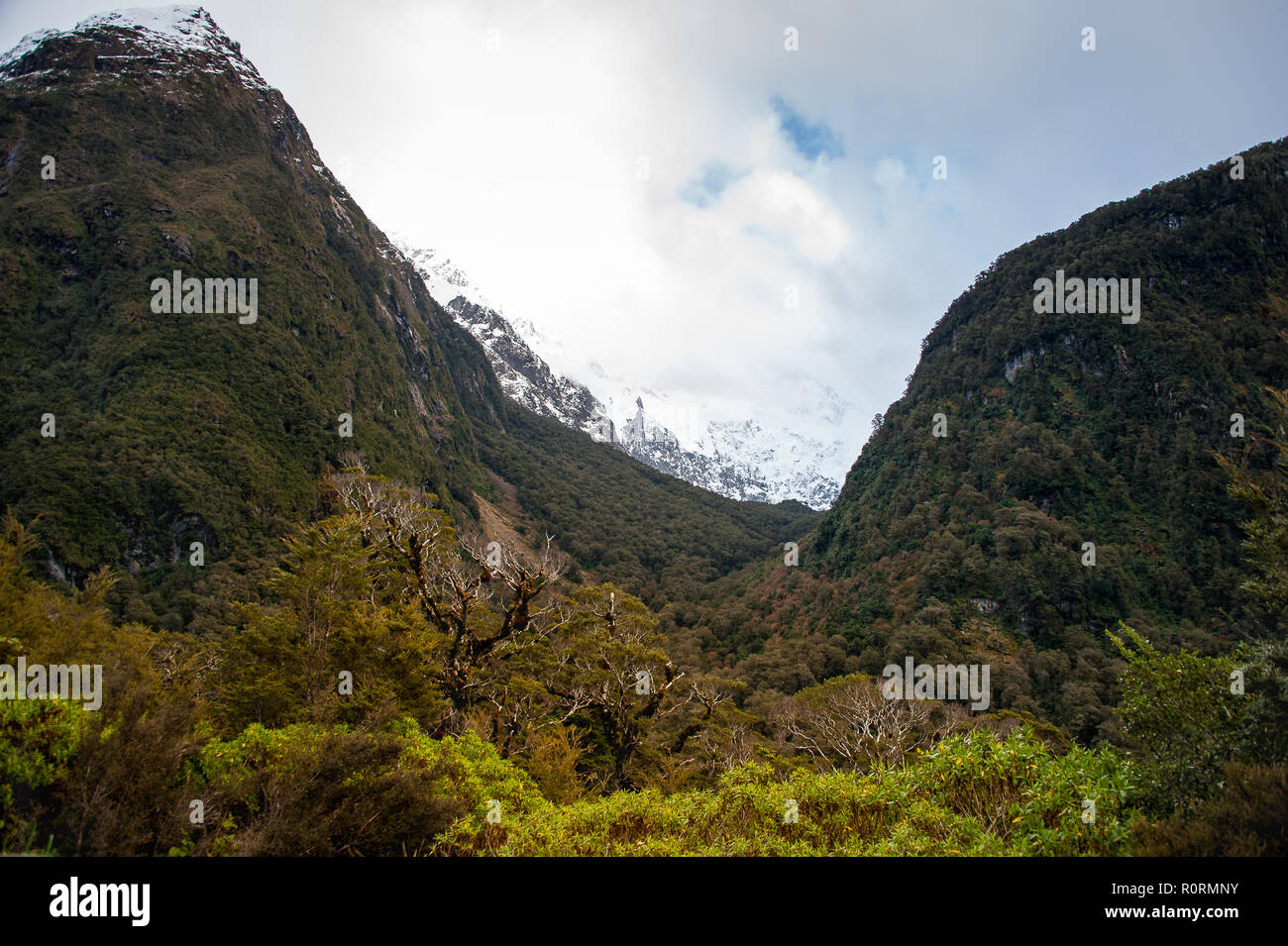 Hollyford Valley Lookout (Pop's View), on the Milford Track, New ...