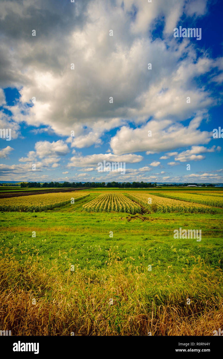 Blue sky cloudscape over lush farmland showing horizon line Stock Photo ...