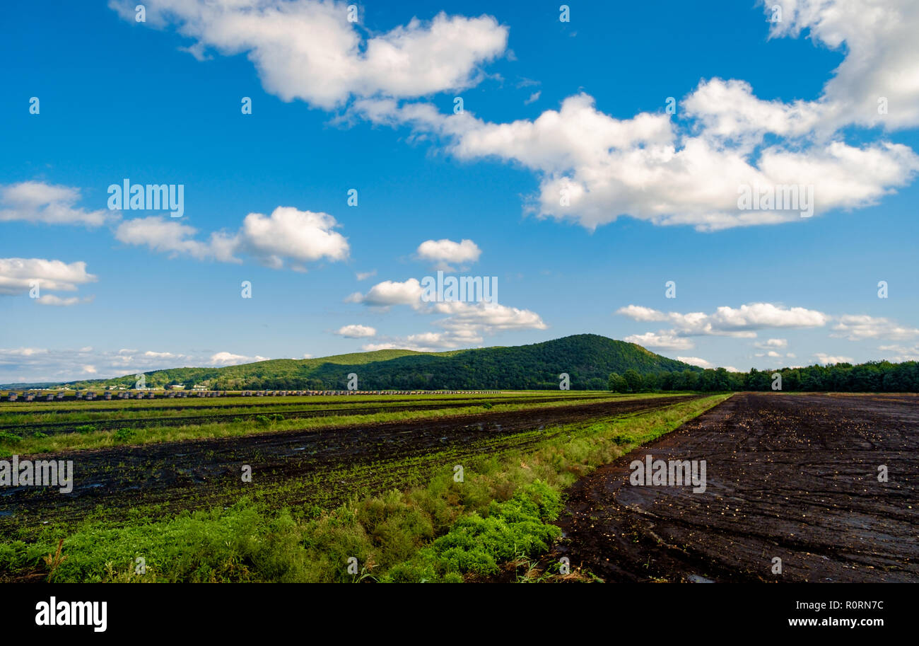 Blue sky cloudscape over lush farmland showing horizon line Stock Photo ...