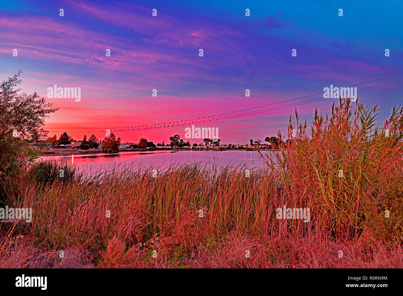 Fall Foliage and Colorful Evening Sky Stock Photo - Alamy