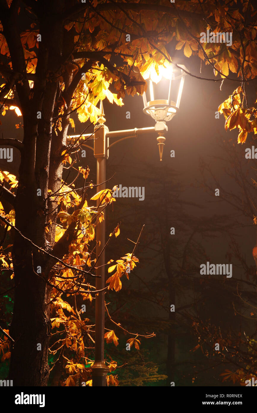 tree and street lamp Stock Photo - Alamy