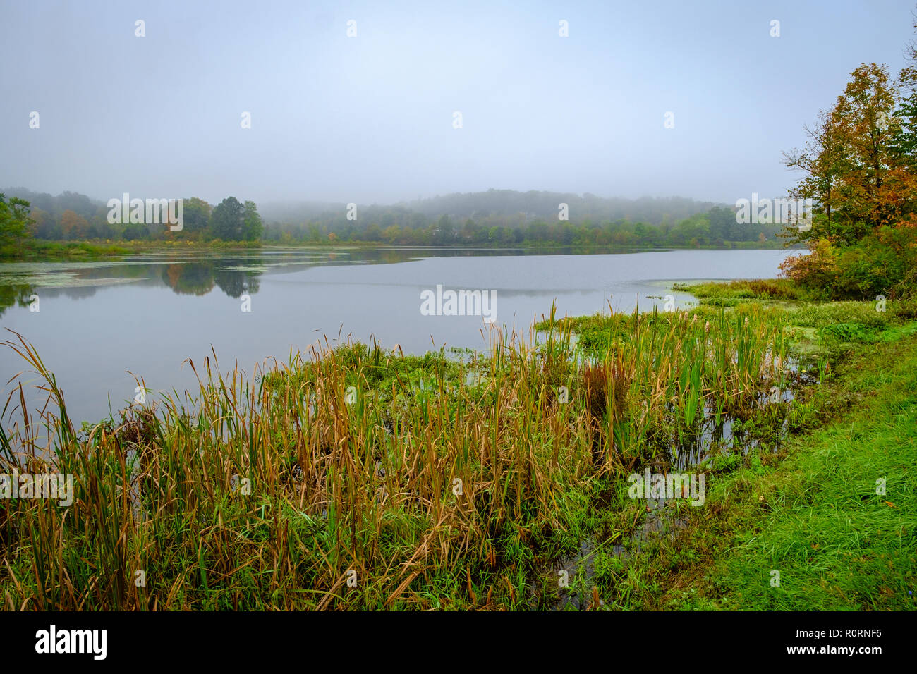 Moody and misty autumn lake early morning Stock Photo - Alamy