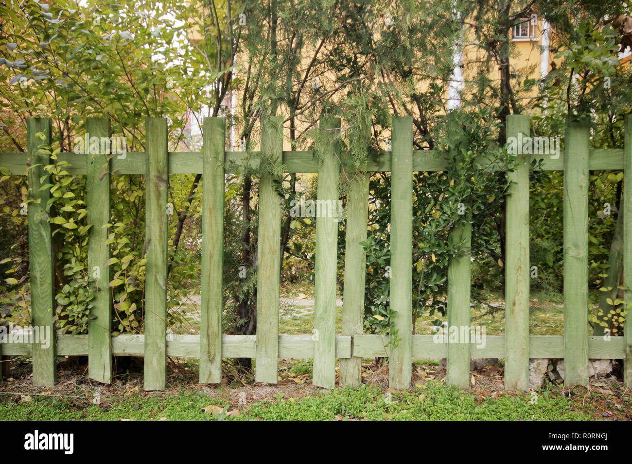 Wooden fence on green garden Stock Photo - Alamy