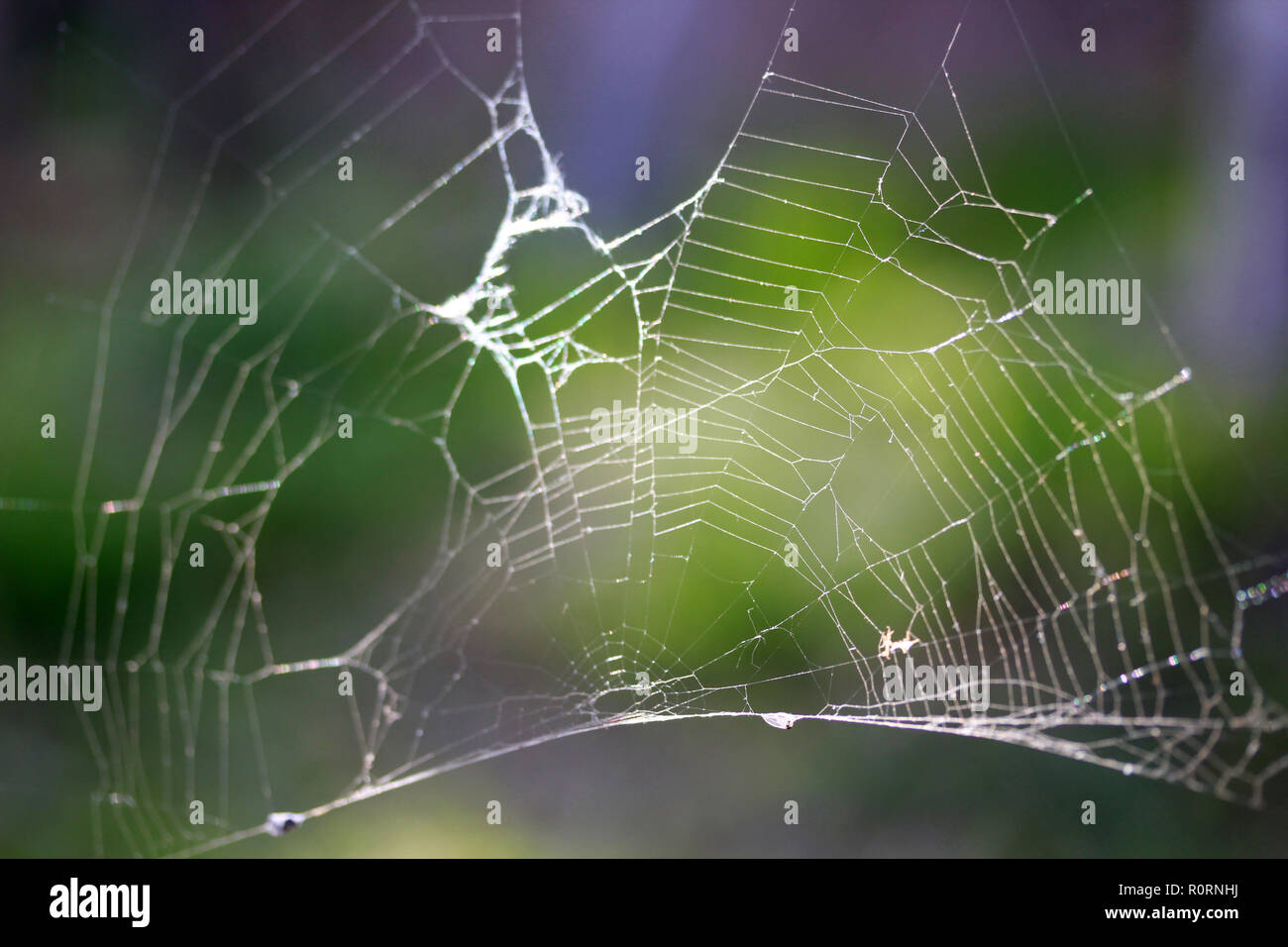 abstract spider web background Stock Photo - Alamy
