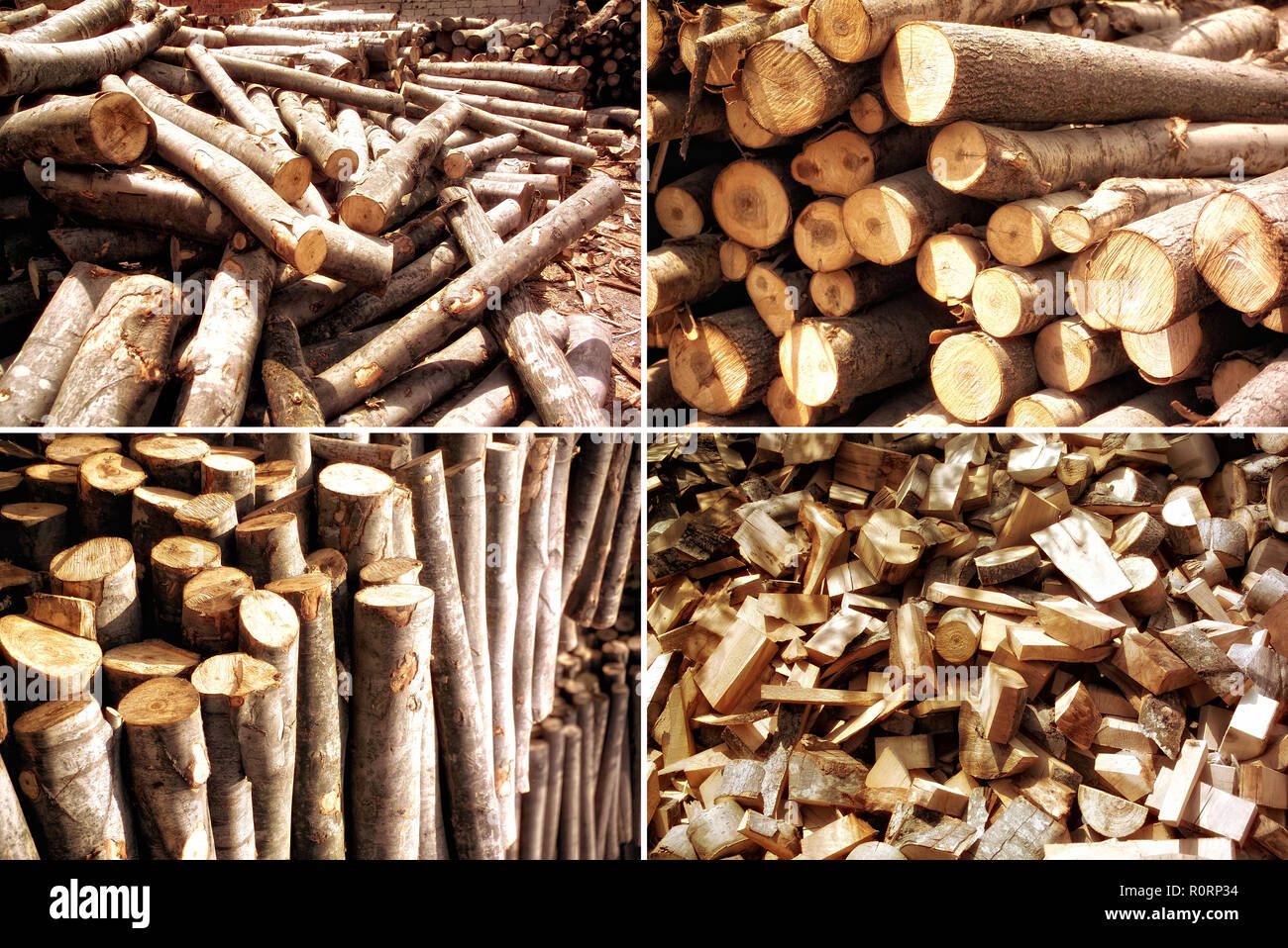 Group of industrial images of chopped trees pile Stock Photo - Alamy