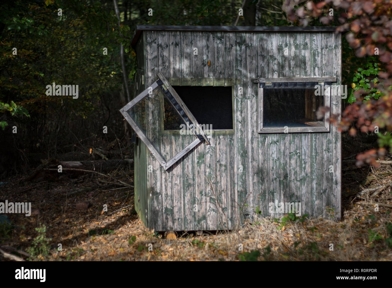 Forest crime scene hi-res stock photography and images - Alamy