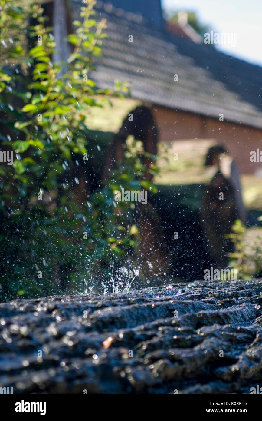 Water splashing on the tree hi-res stock photography and images - Alamy