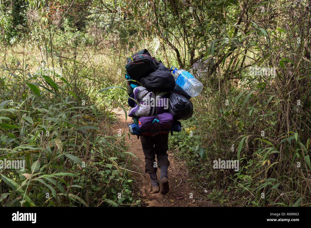 Full loaded porter in a mountain jungle trekking in Thailand Stock ...