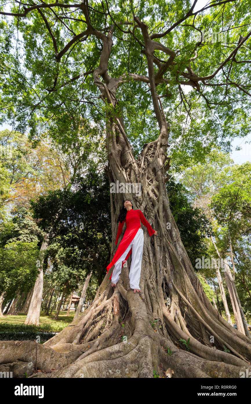 Vietnamese woman wearing Ao Dai reclining against a huge fig tree Stock ...