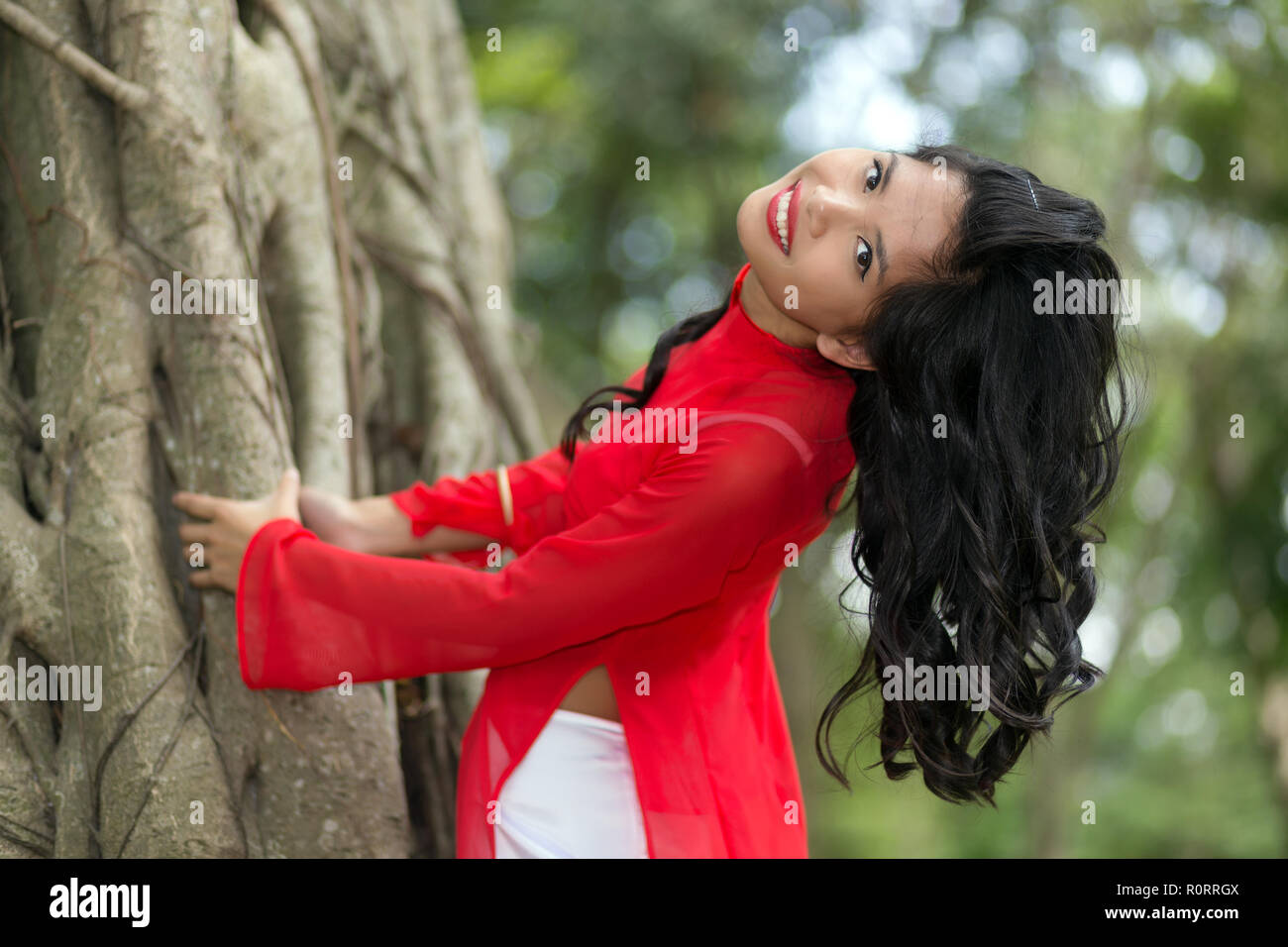 Charming Vietnamese woman bending over a large fig tree in a park ...