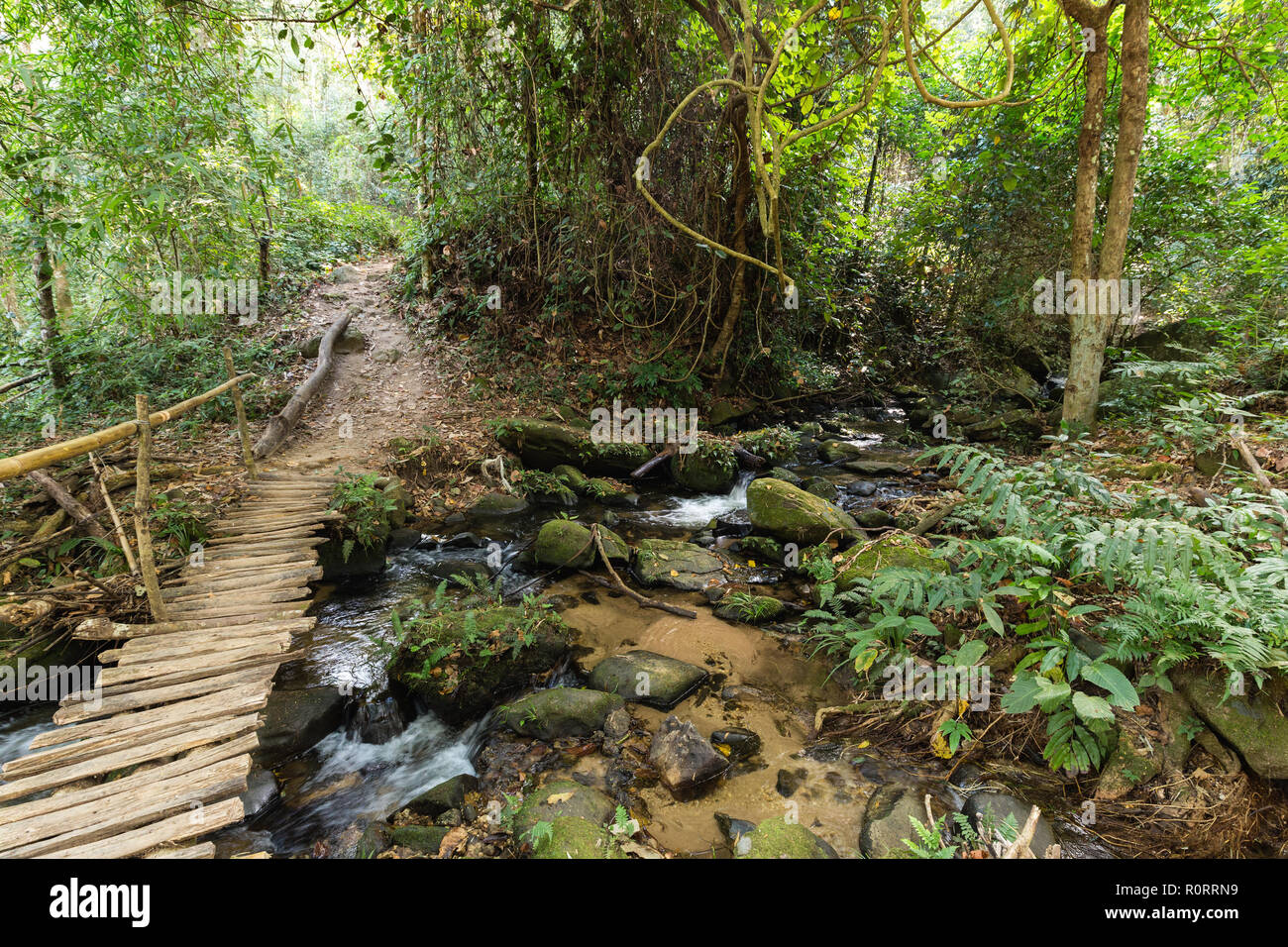 Small bridge at the jungle hi-res stock photography and images - Alamy