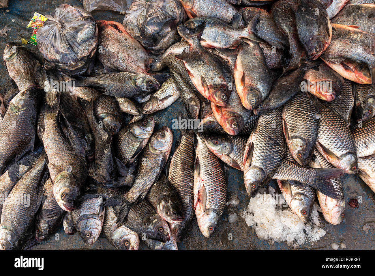 Fresh fishes on the ground of an Asian market in Mandalay, Myanmar ...