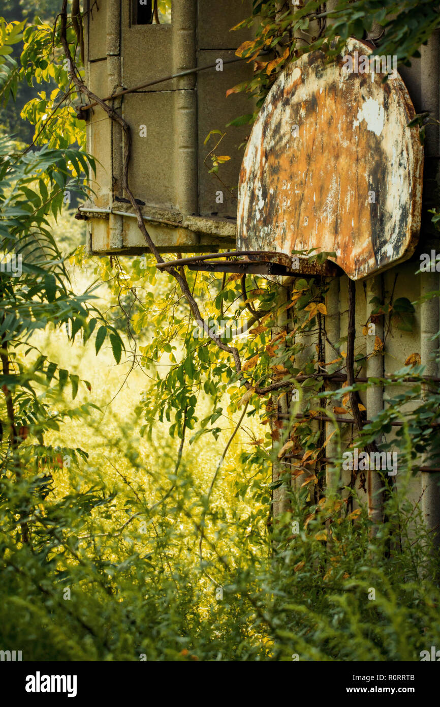 Grungy abandoned basketball hoop with overgrown weeds on farm silo ...