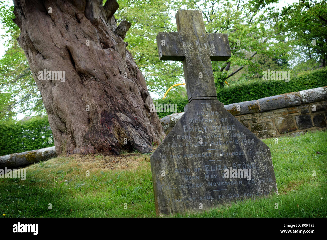 Westfield cemetery, Kent United Kingdom Stock Photo - Alamy
