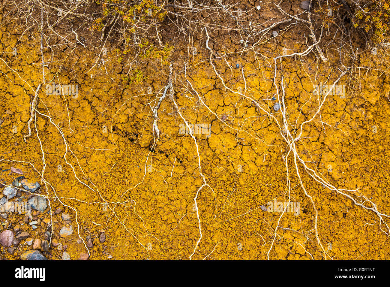 Sulfur texture hi-res stock photography and images - Alamy