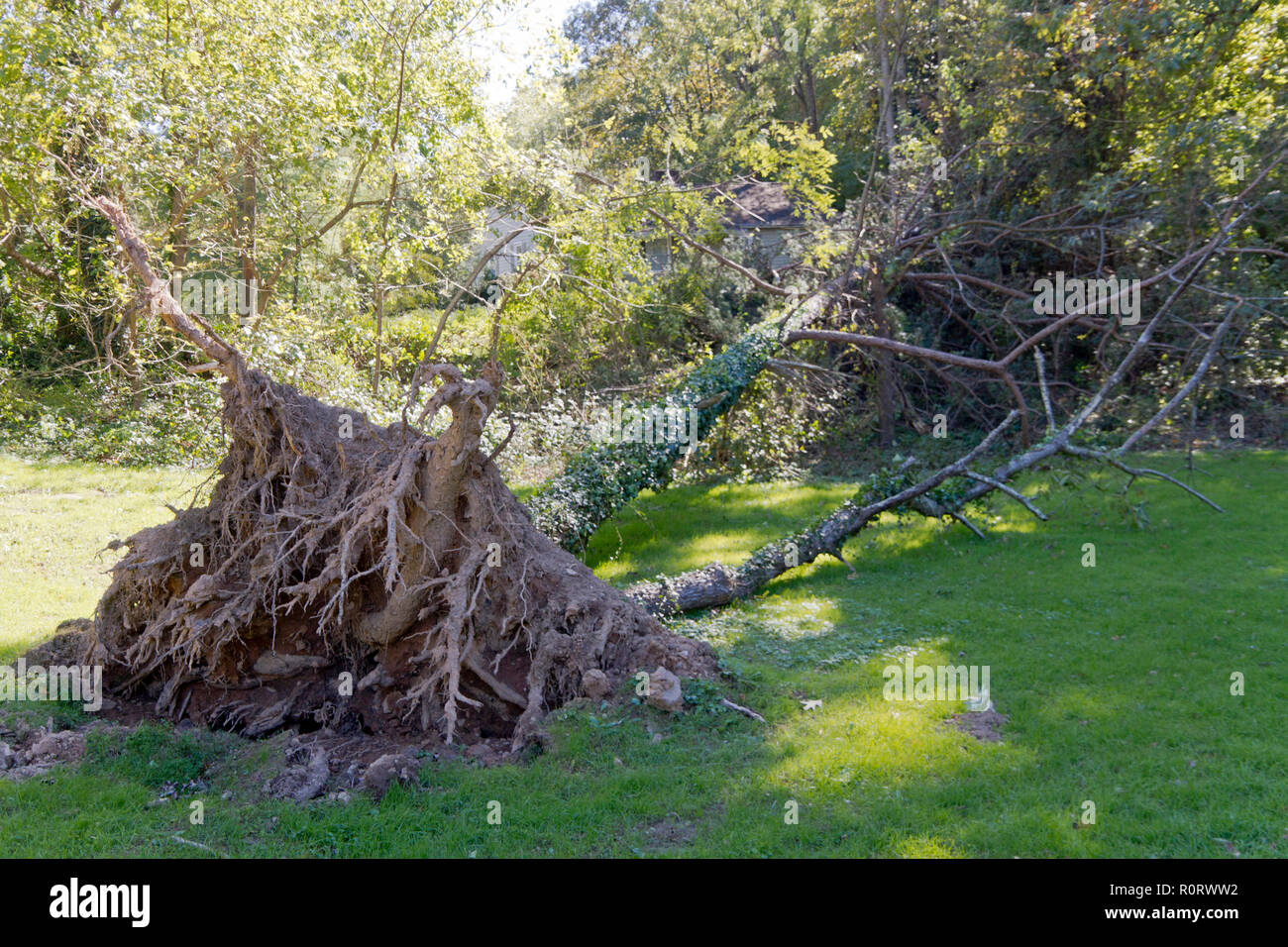 Wind ripped of ground hi-res stock photography and images - Alamy