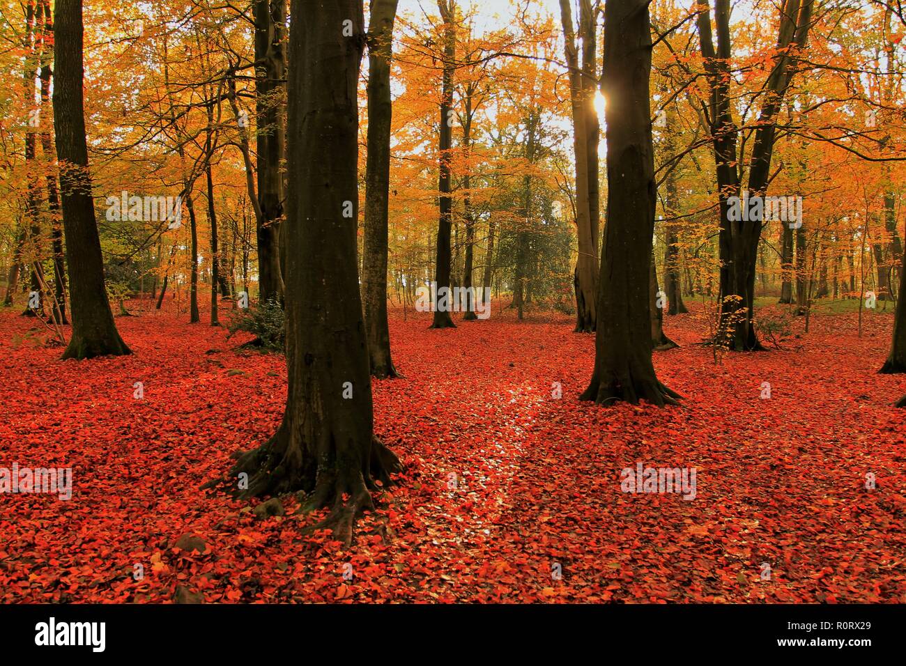 UK Ulverston. UK Rural Autumn Scene from Ulverston Cumbria UK Stock ...