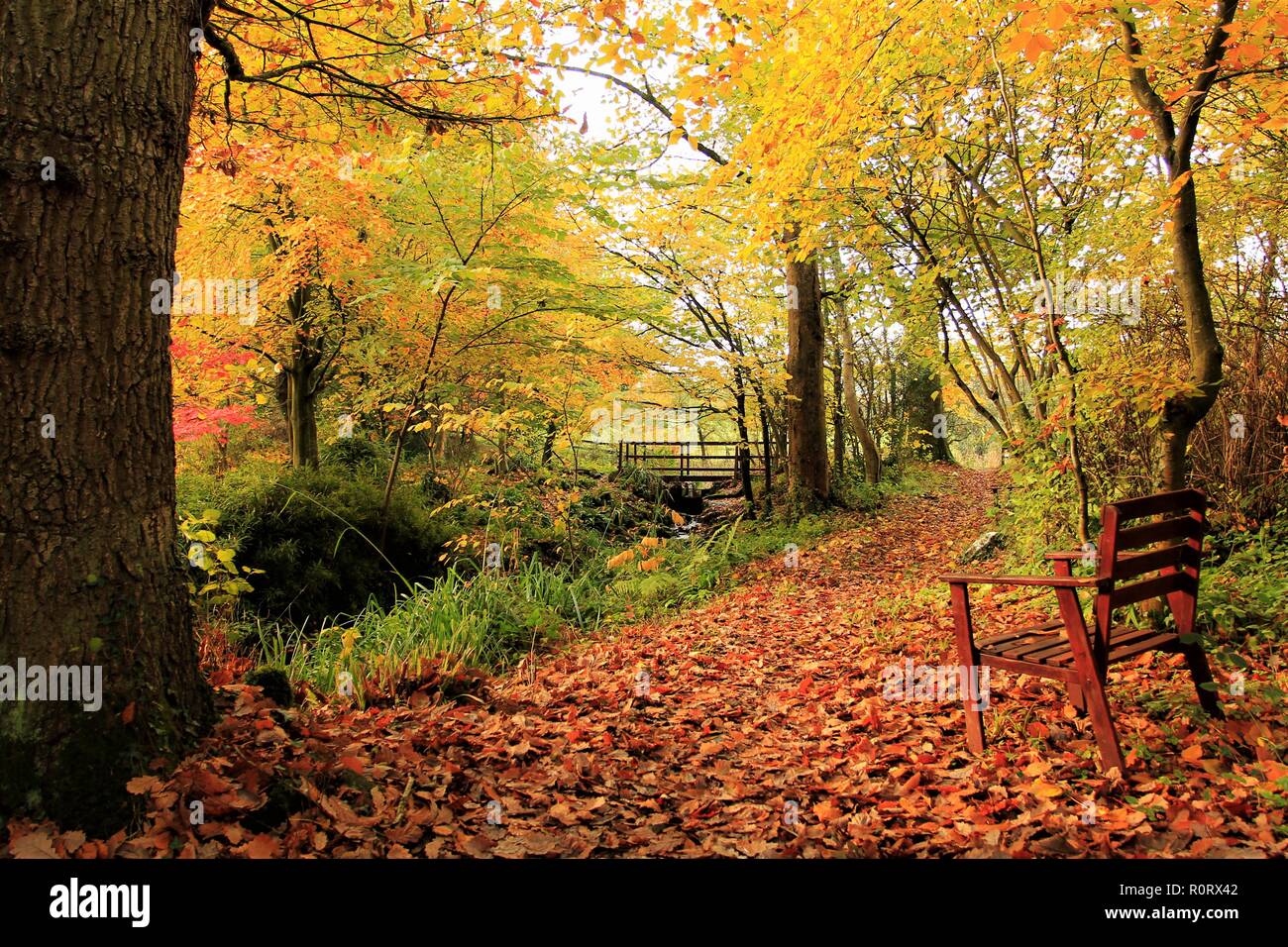 UK Ulverston. UK Rural Autumn Scene from Ulverston Cumbria UK Stock ...