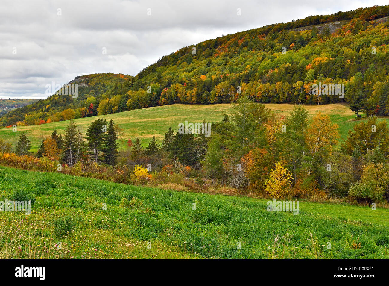Changing land use hi-res stock photography and images - Alamy