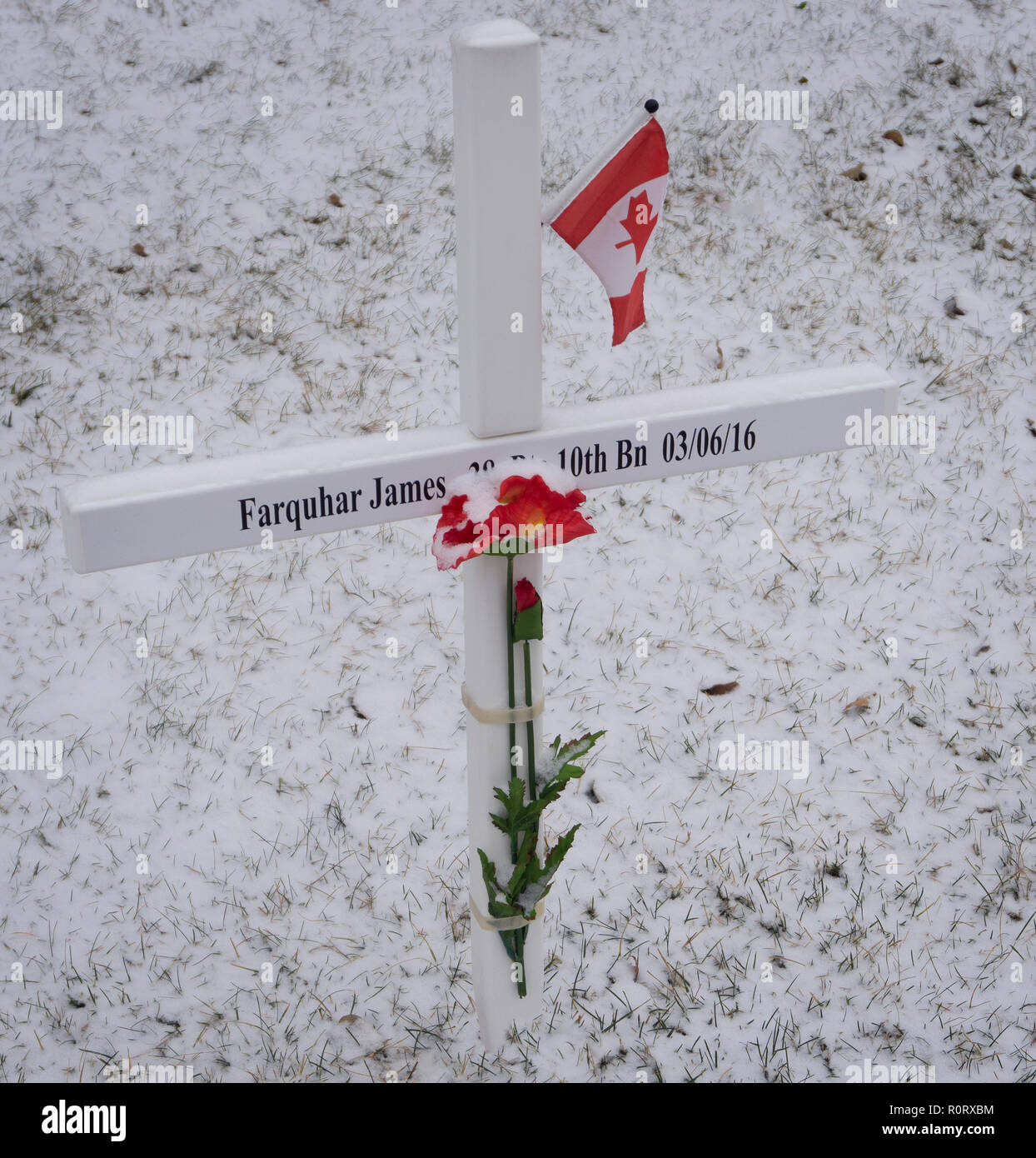 Field Of Crosses Calgary Alberta Canada Stock Photo - Alamy