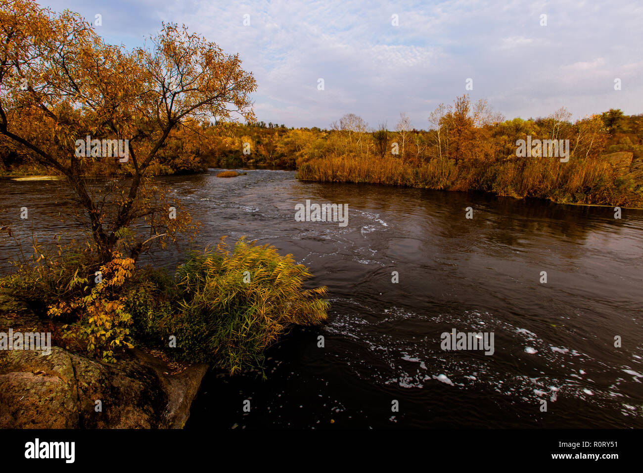 autumn trees on the rocky shore of the river Stock Photo - Alamy