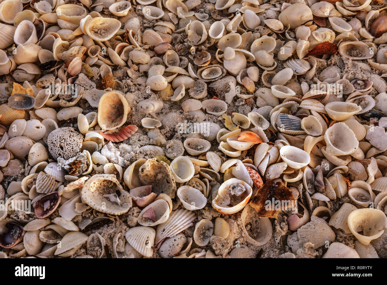 Full frame beach hi-res stock photography and images - Alamy