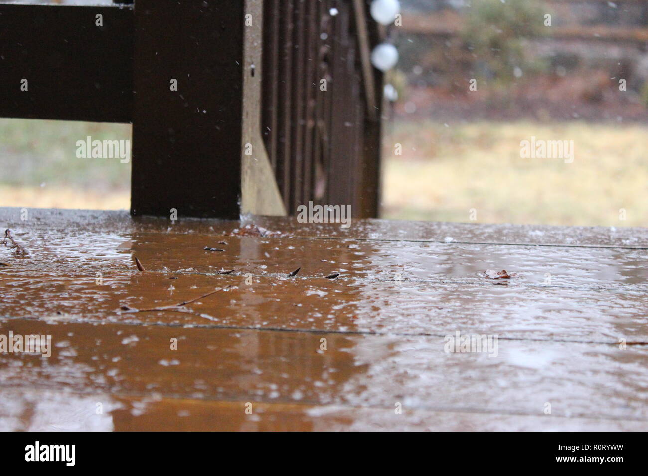 porch flooring covered with melting ice with a view of a backyard on ...
