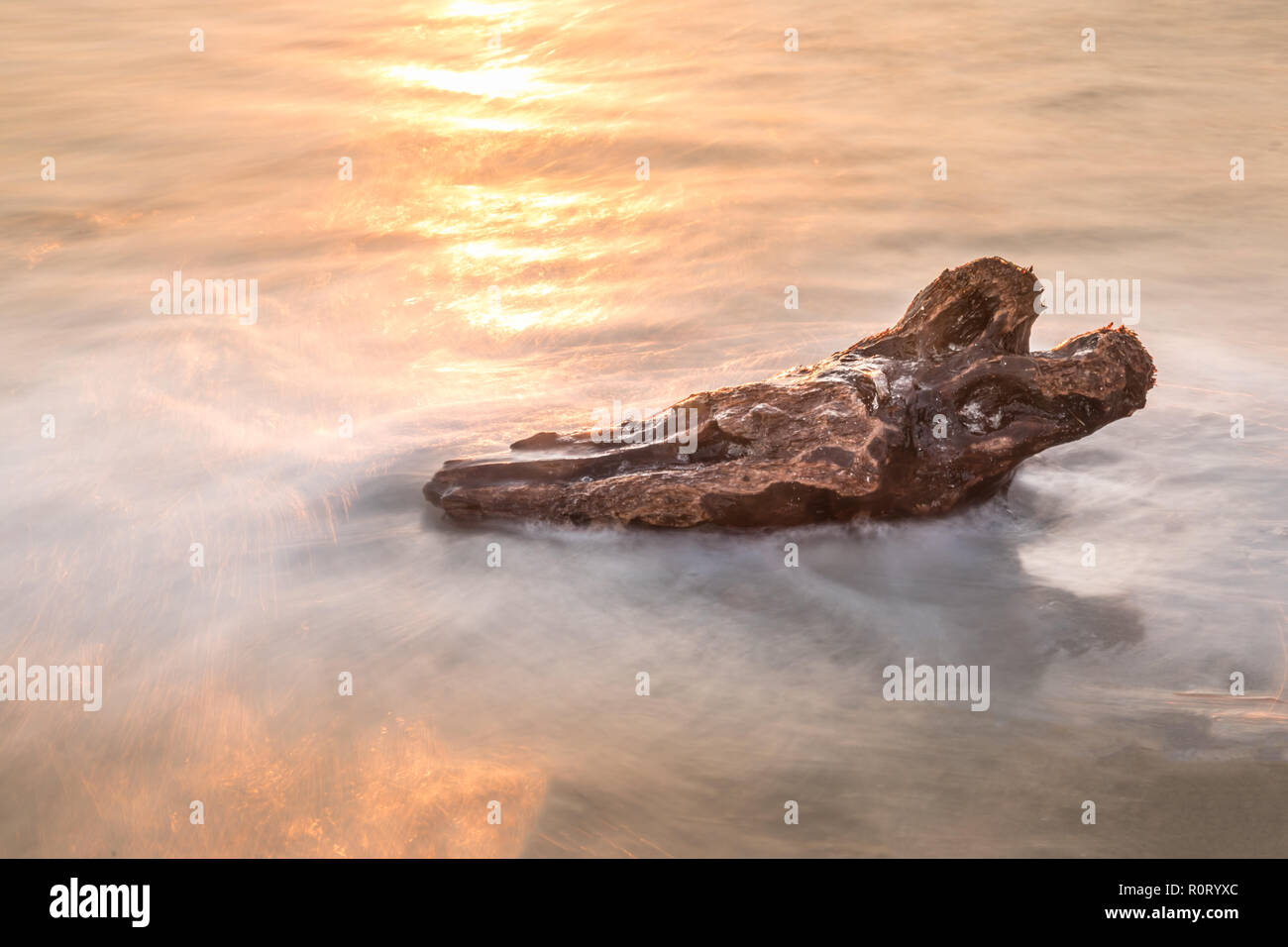 Driftwood in the ocean, long exposure Stock Photo - Alamy