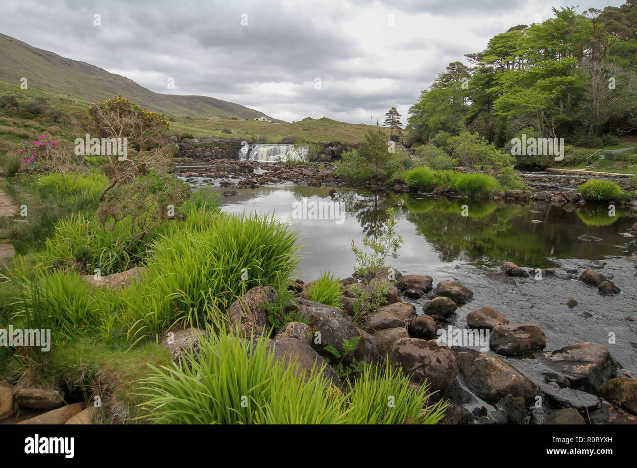 Low water conditions on the River Erriff in spring at Aasleagh Falls ...