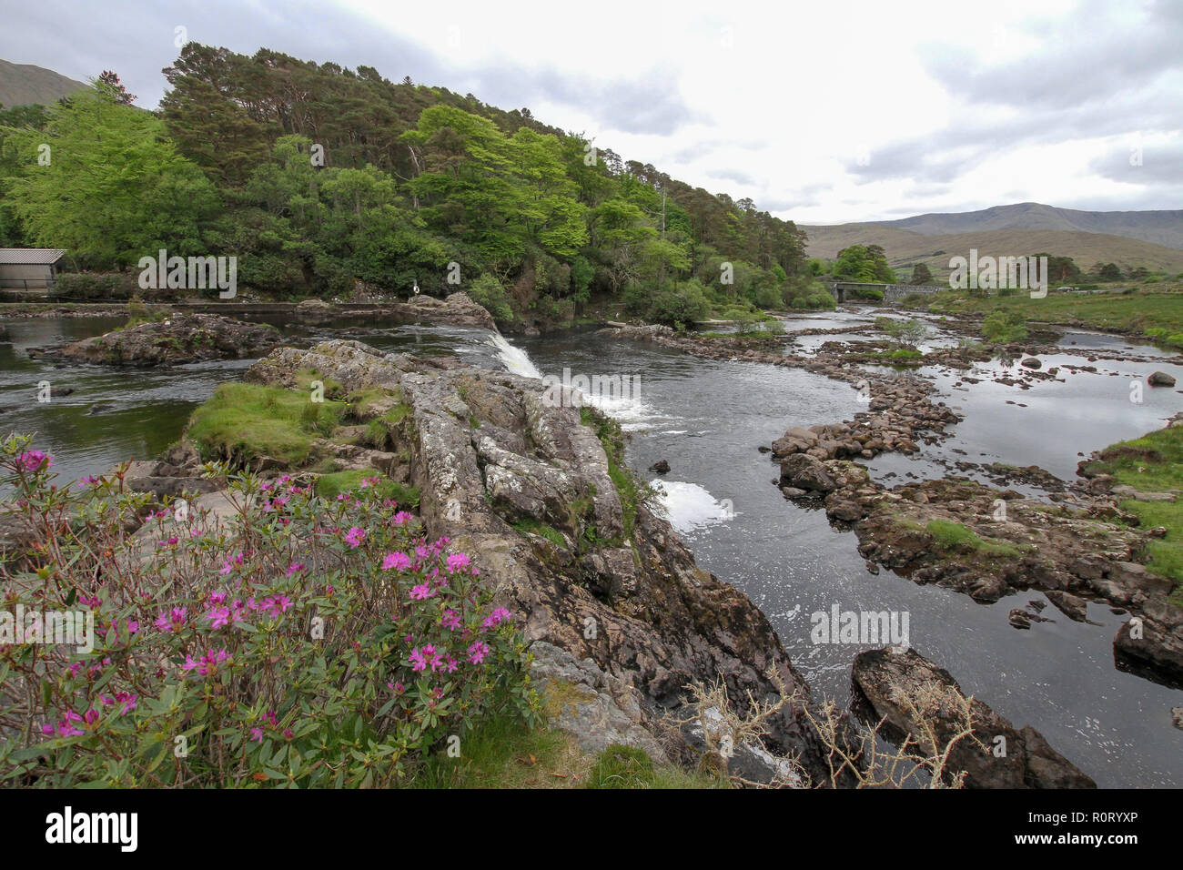 Spring on the River Erriff - low water conditions and pools at Aasleagh ...