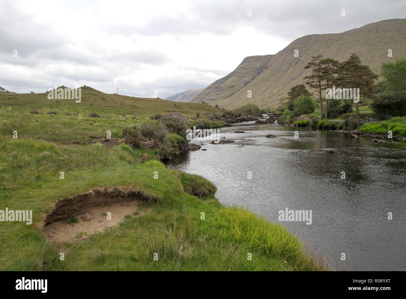 Salmon river in Ireland - the River Erriff upstream of Aasleagh Falls ...