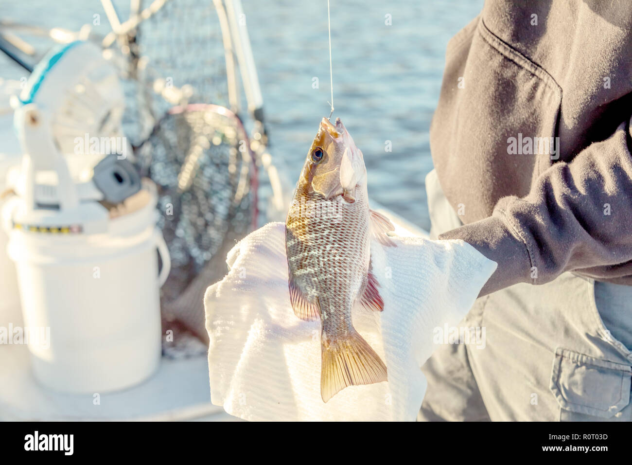 Fisherman showing his fresh fish catch Stock Photo - Alamy