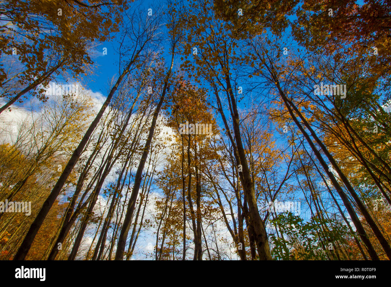 Lewis hollow hi-res stock photography and images - Alamy
