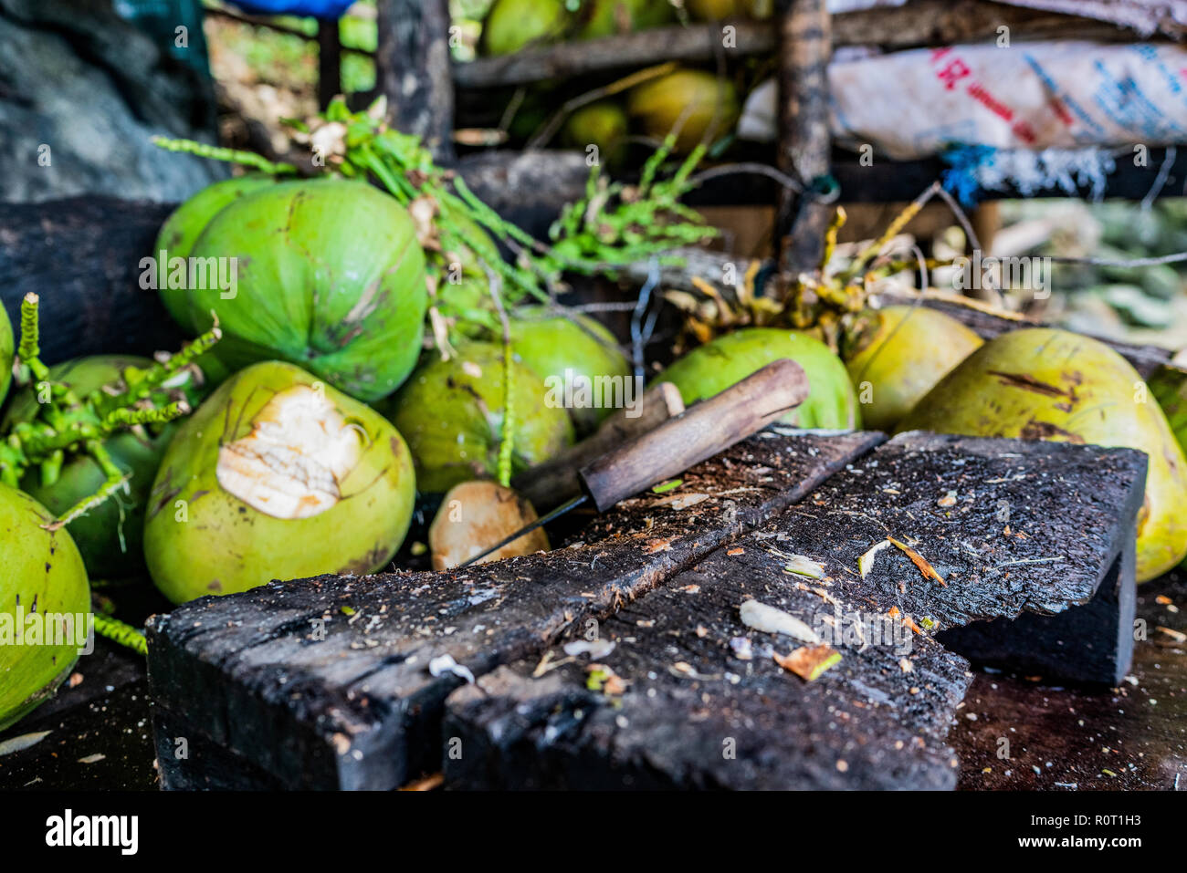 Chopping Coconuts Stock Photo - Alamy Chopping Coconuts Stock Photo - Alamy